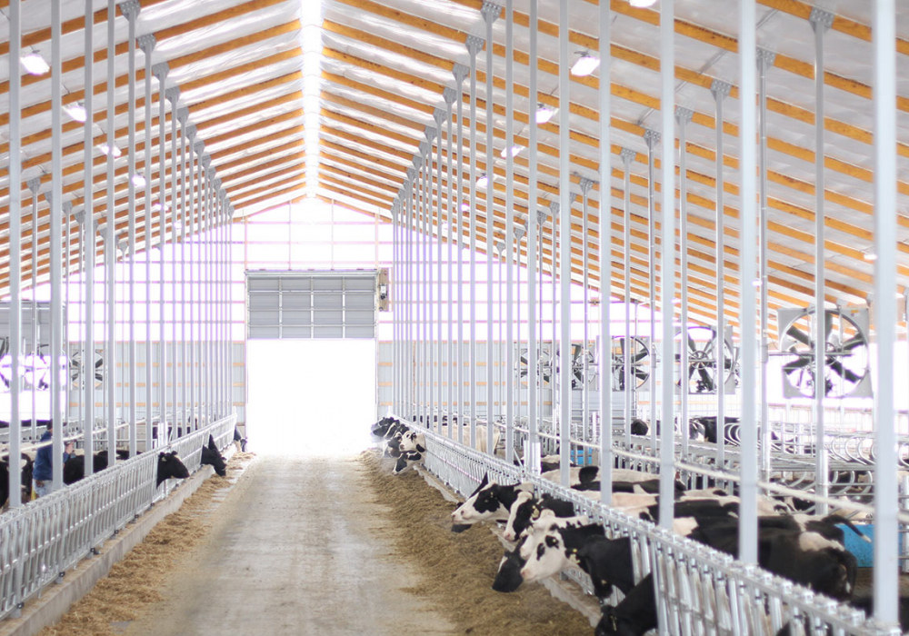Agricultural Dairy, Outbuilding, Parlor, & Barn from Marawood Construction