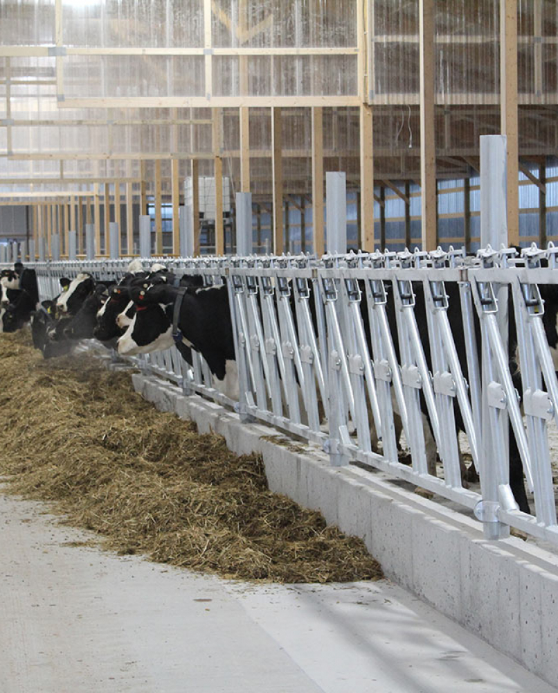 Dairy Freestall Barns - Marawood | Construction Services