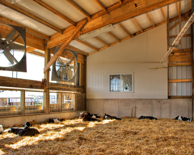 Dairy Freestall Barns - Marawood | Construction Services