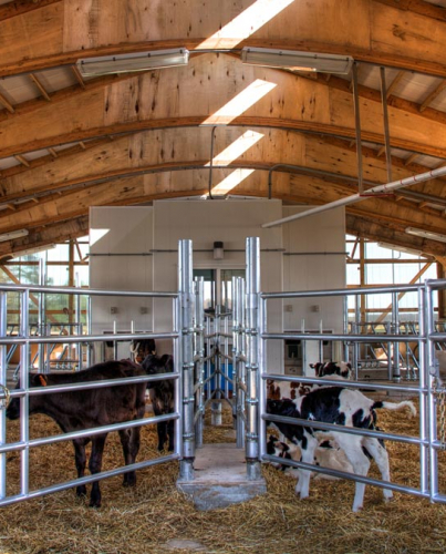 Automated Calf Feeding Facility Marawood Construction Services